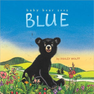 Over 40 GREAT Bear Books for Kids