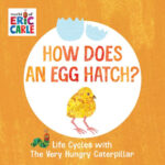 Books for Kids About Life Cycles